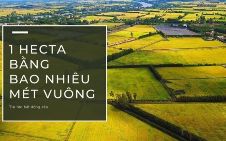 Hecta là gì? Ứng dụng của đơn vị hecta phổ biến ở thực tế - hadoriversides